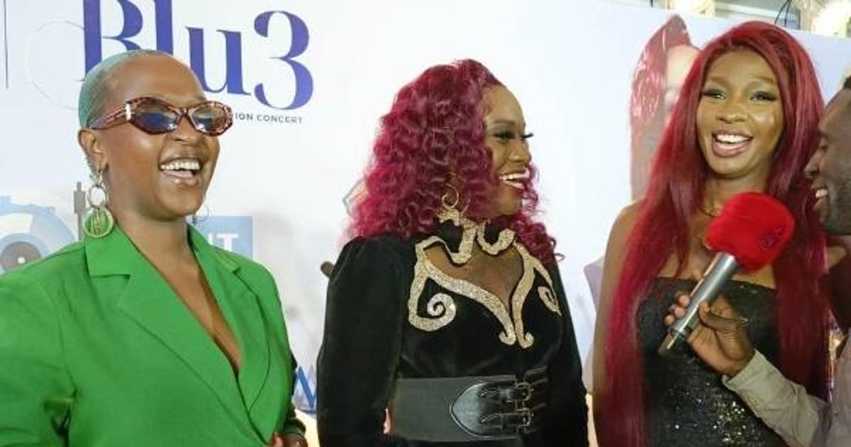 Blu 3 hire Aly Alibhai; Cindy reveals booking price | Pulse Uganda