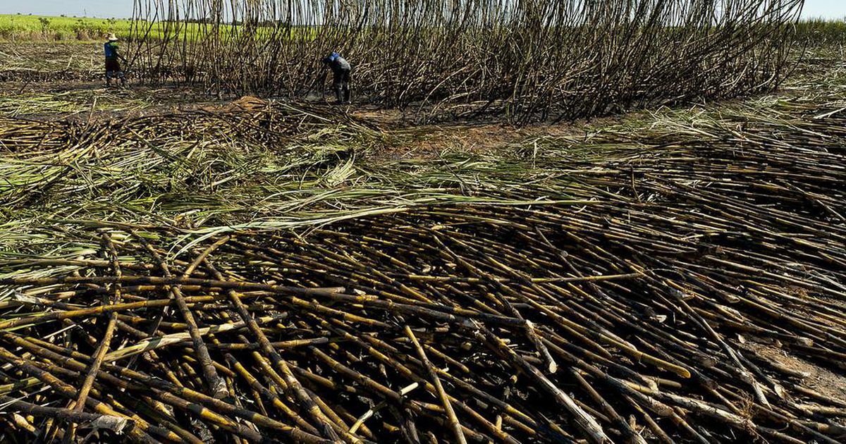 Amuru sugar factory reveals state-of-the-art reforms to curb fire ...