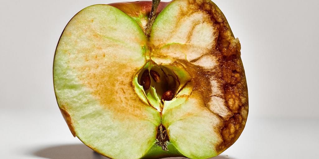 Um, How Worried Do I Need To Be About The ‘Flesh-Eating’ STD ...