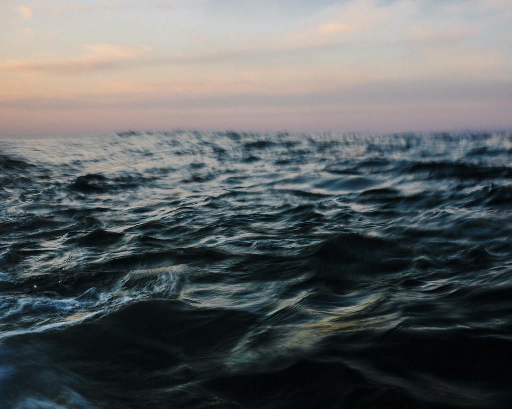 'Shark!': Cape Cod Recoils in a Summer of Sightings, Real and Imagined ...