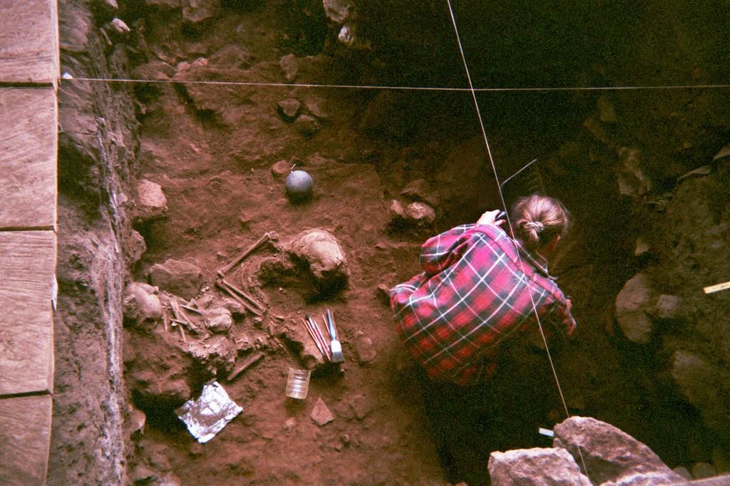 Ancient DNA from West Africa Adds to Picture of Humans' Rise ...