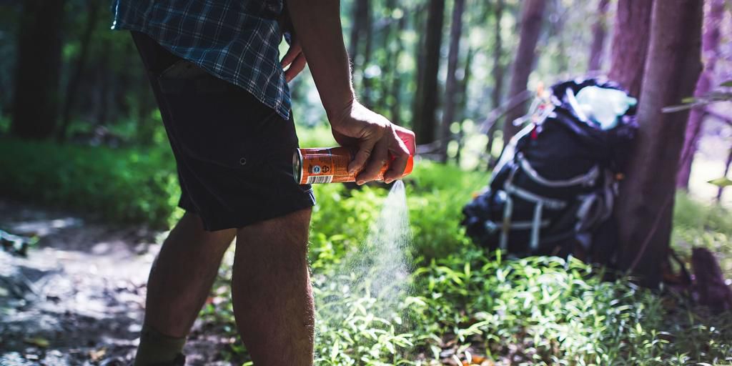 Is DEET Actually Bad for You? Here's What to Know. | Pulselive Kenya