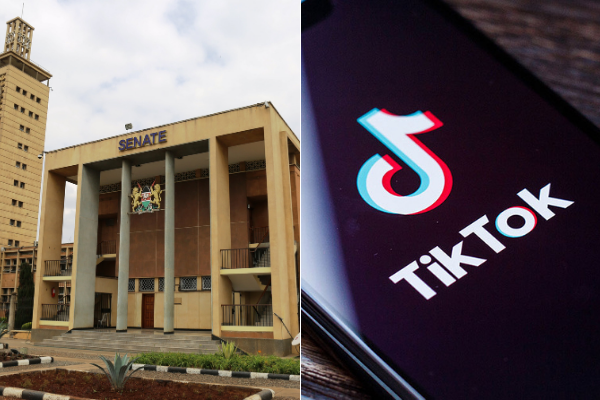 Kenyan Senators raise concerns over Tik Tok | Pulselive Kenya